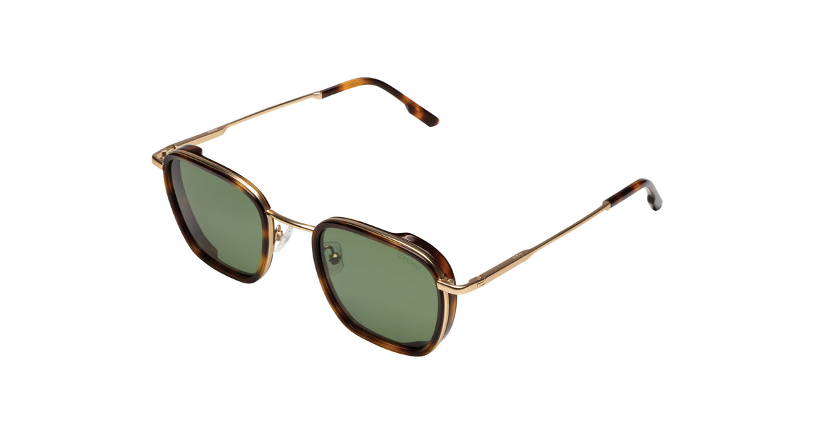 Adam Wing White Gold Havana | KOMONO